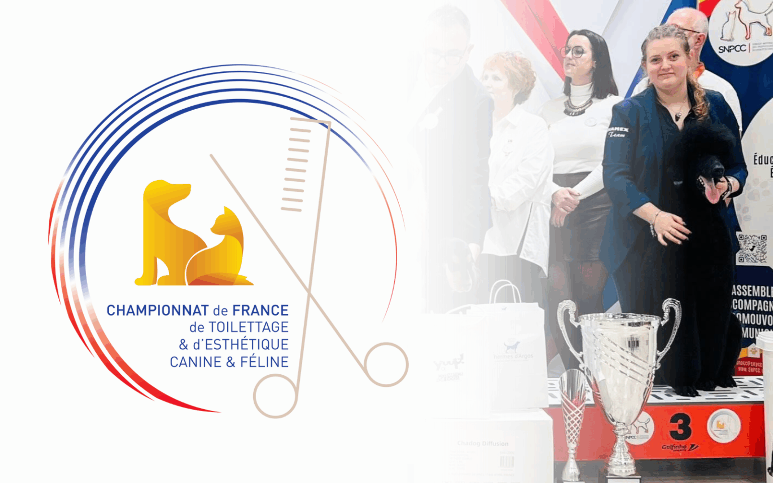 3 November 2025 – Diamex-Labor