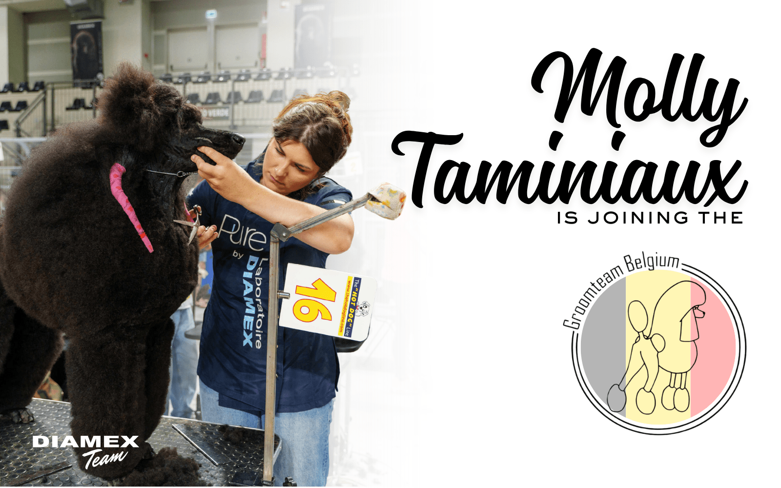 Molly Taminiaux joins Groomteam Belgium – Diamex Laboratory