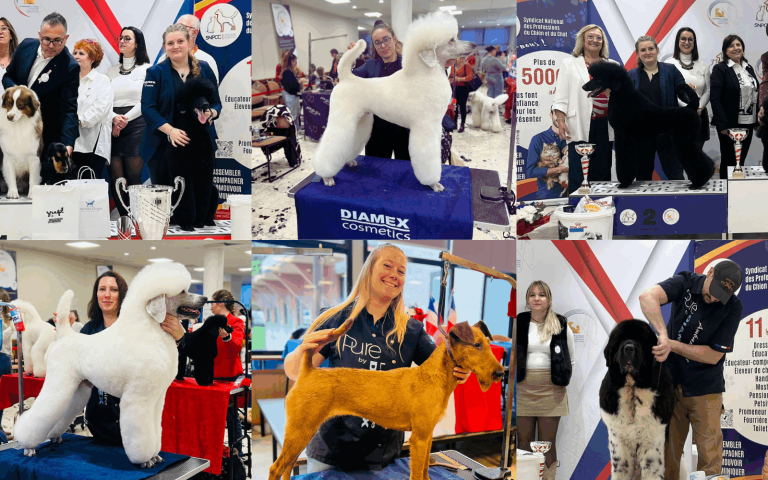 3 ноября 2025 — Лаборатория Diamex